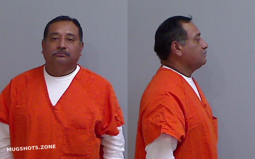 LLANAS PEDRO JOSE 02/21/2025 - Hidalgo County Mugshots Zone