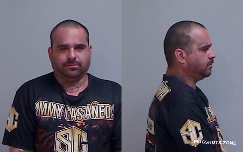 ALVARADO IGNACIO ZAMORA 03/03/2025 - Hidalgo County Mugshots Zone