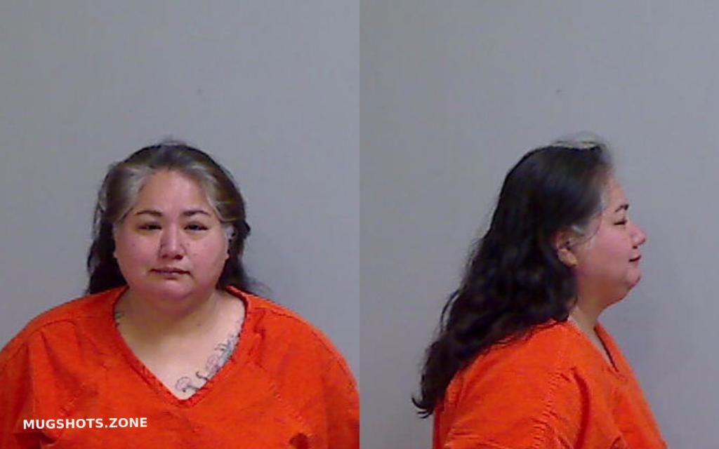 ZAMORA MIREYA 03/05/2025 - Hidalgo County Mugshots Zone