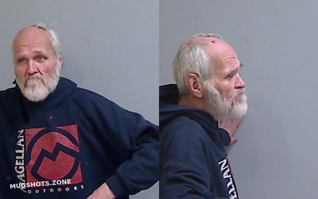 DAVIDSON DANNY WILSON 03/05/2025 - Hidalgo County Mugshots Zone