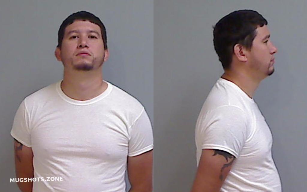 FERNANDEZ DAVID ALEXANDER 03/07/2025 - Hidalgo County Mugshots Zone