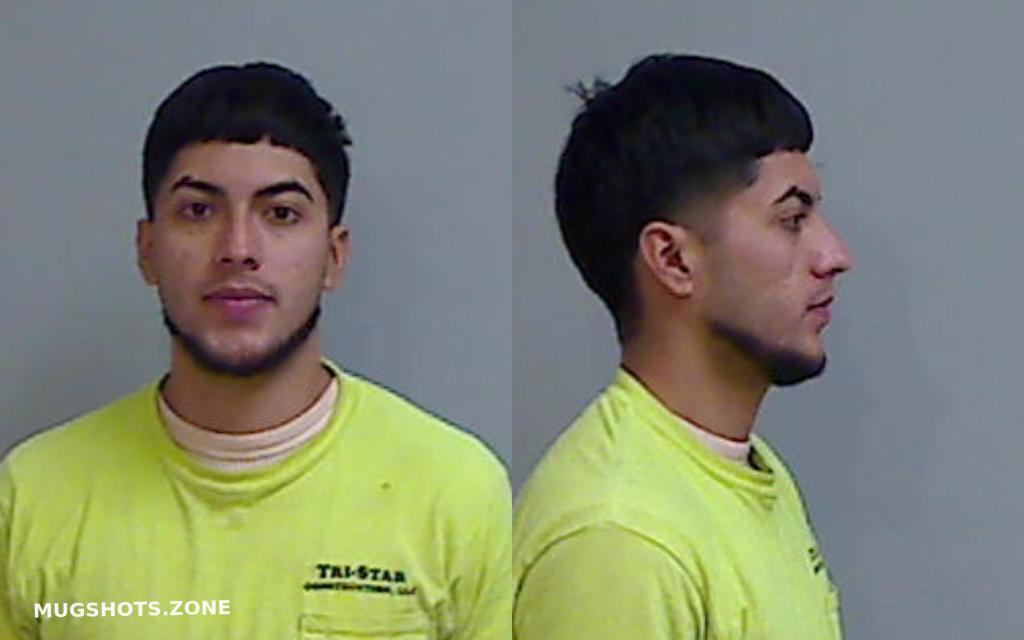 ZAMARRIPA DAVID ALAN 03/13/2025 - Hidalgo County Mugshots Zone