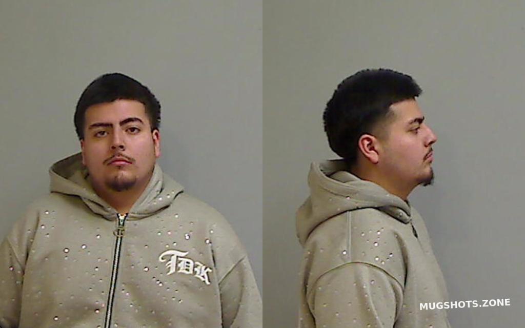 ALVAREZ JOSE GERARDO 03/16/2025 - Hidalgo County Mugshots Zone
