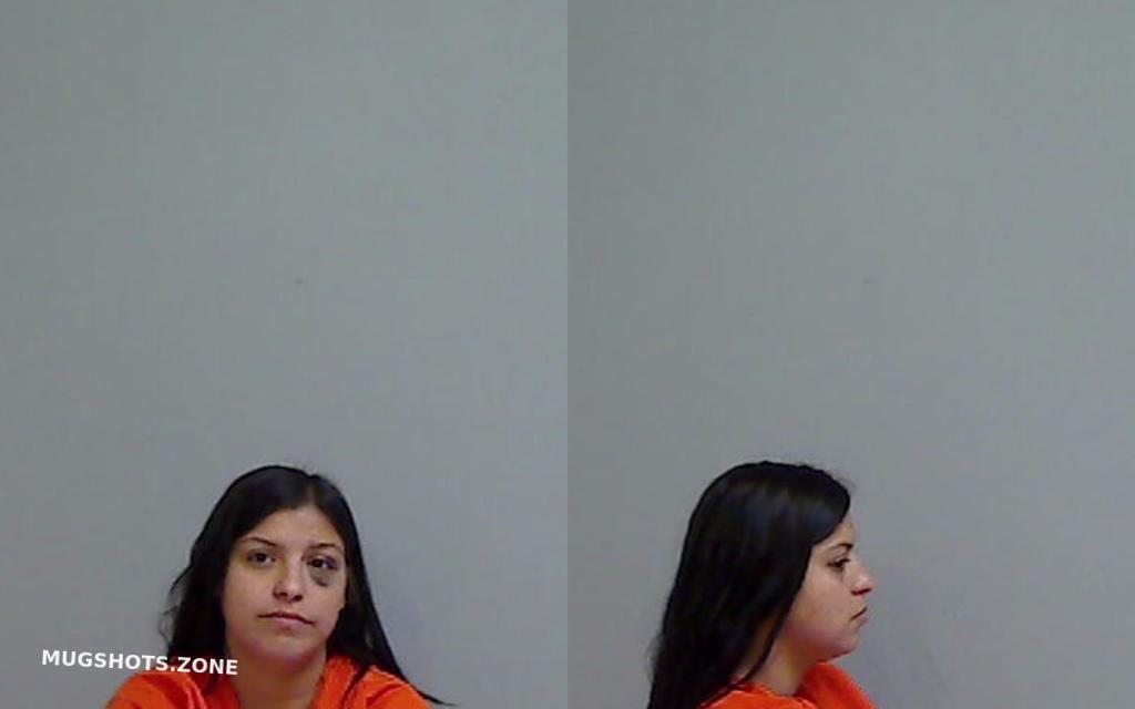 ALMEIDA MARITZA 03/16/2025 - Hidalgo County Mugshots Zone