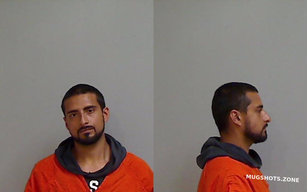 PINON ELIAS JR 03/16/2025 - Hidalgo County Mugshots Zone