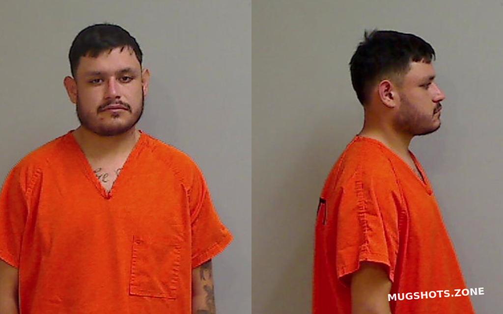 ARAUJO LOGAN KETZALTH 03/18/2025 - Hidalgo County Mugshots Zone