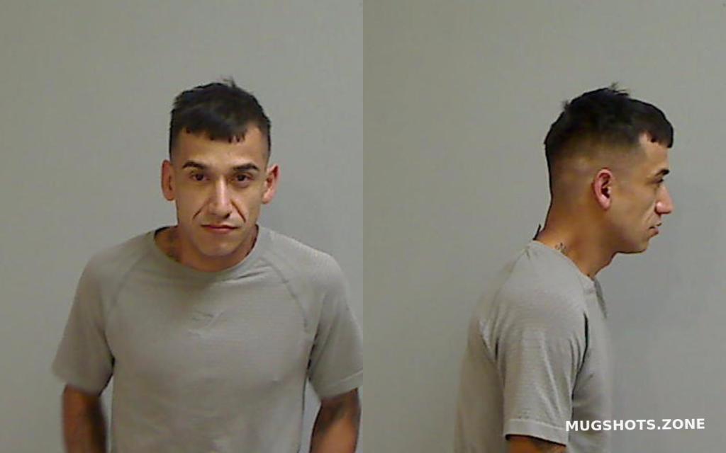 RAMOS RODOLFO ROEL 03/18/2025 - Hidalgo County Mugshots Zone