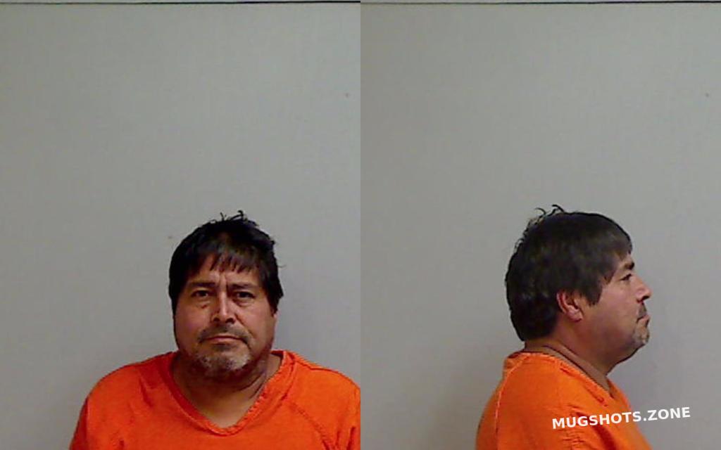 DEL RIO ALEJANDRO 03/19/2025 - Hidalgo County Mugshots Zone