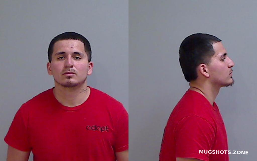PEREZ RICARDO DAVID 03/20/2025 - Hidalgo County Mugshots Zone