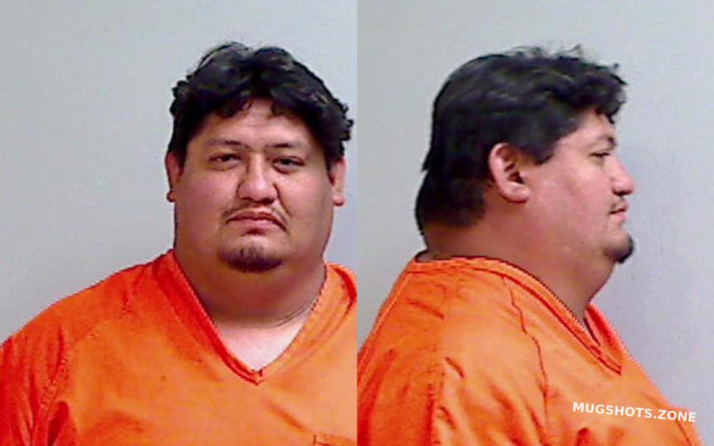 FRAUSTO RAY RENEE 03/21/2025 - Hidalgo County Mugshots Zone