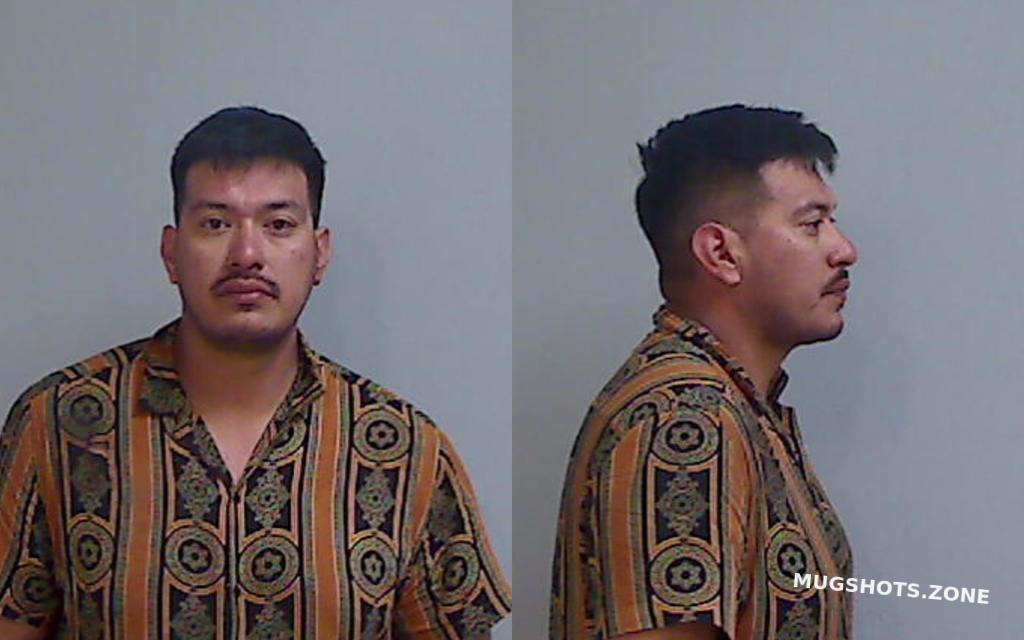 BENAVIDES EDGAR ALI 03/23/2025 - Hidalgo County Mugshots Zone