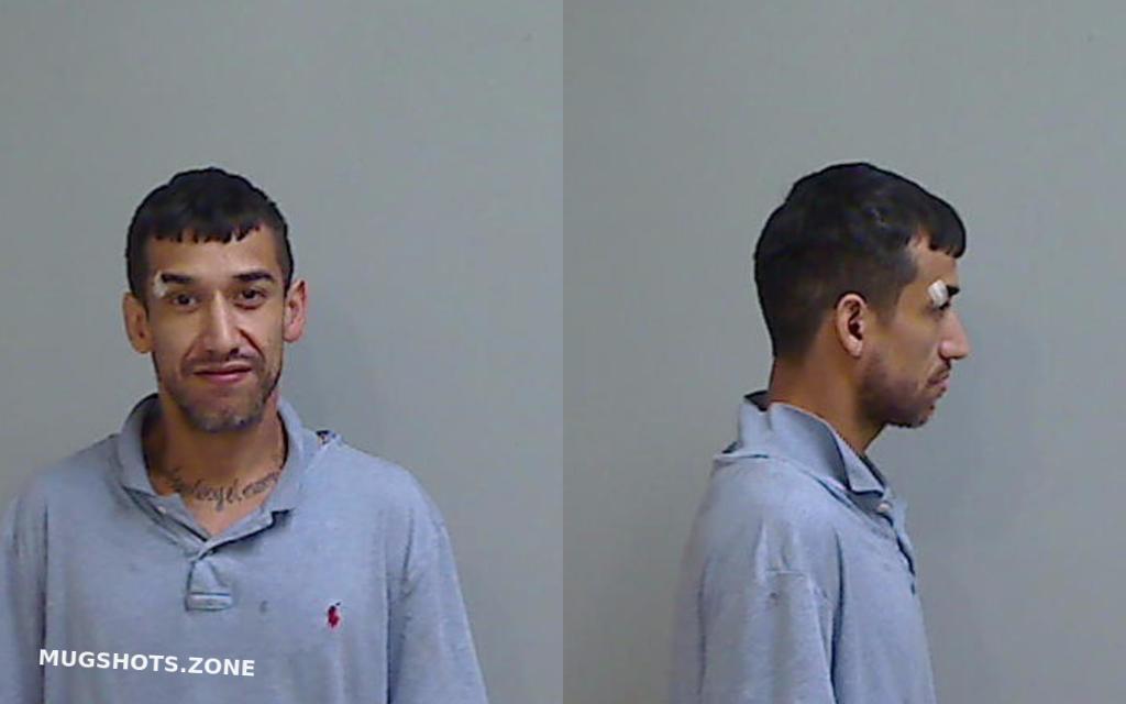 RAMOS RODOLFO ROEL 04/02/2025 - Hidalgo County Mugshots Zone