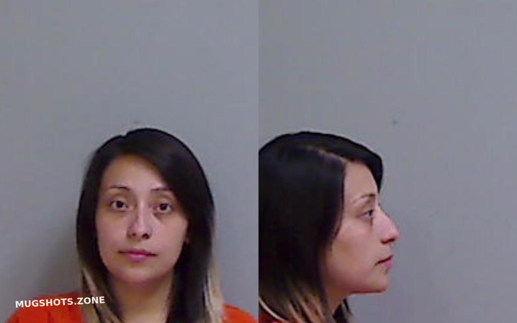 PEREZ MARITZA GONZALEZ 04/04/2025 - Hidalgo County Mugshots Zone