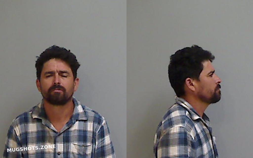ROCHA LUIS 04/05/2025 - Hidalgo County Mugshots Zone