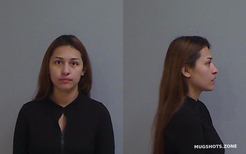 RANGEL LESLIE 04/11/2025 - Hidalgo County Mugshots Zone