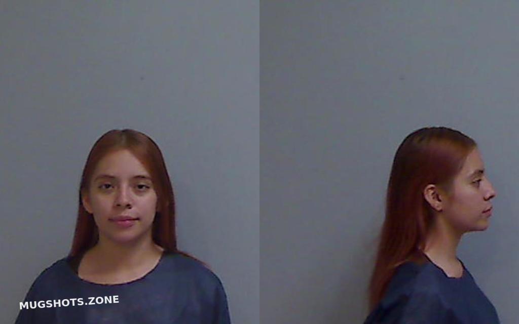 RODRIGUEZ DAYANI LINET 04/13/2025 - Hidalgo County Mugshots Zone