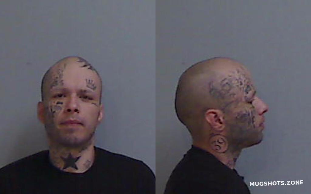 ESTRADA JAVEN JANDRE 04/15/2025 - Hidalgo County Mugshots Zone