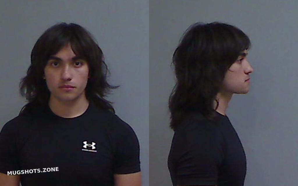 DIAZ MARC CHRISTIAN 04/20/2025 - Hidalgo County Mugshots Zone