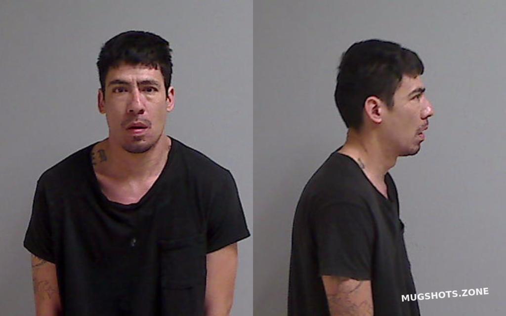 REED DAVID ELDON 04/21/2025 - Hidalgo County Mugshots Zone