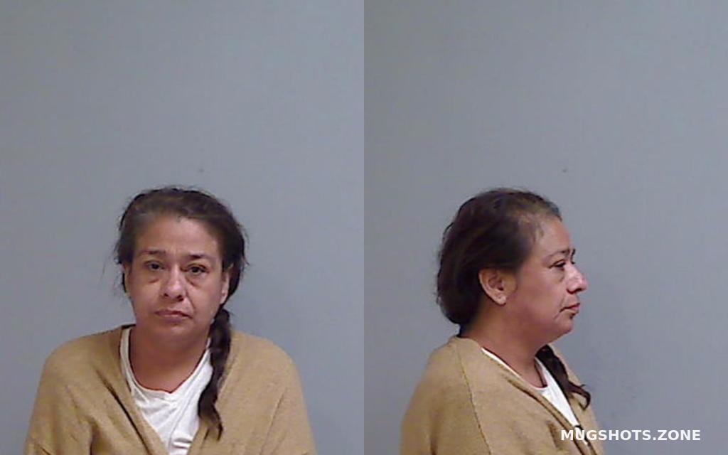 VIEYRA SONIA EDITH 05/04/2025 - Hidalgo County Mugshots Zone