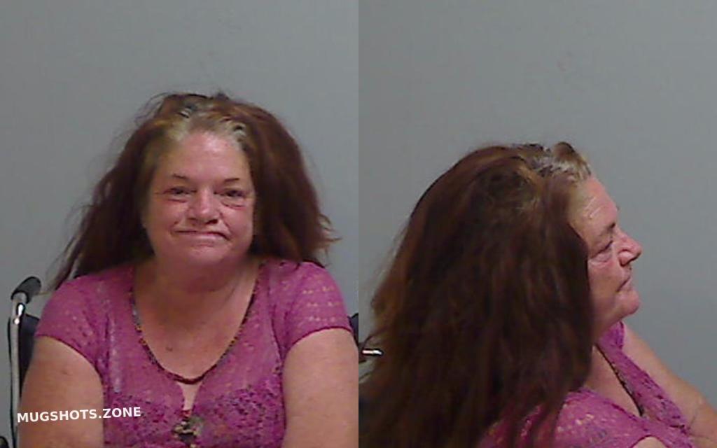 DASILVA DINA DAY 05/13/2025 - Hidalgo County Mugshots Zone