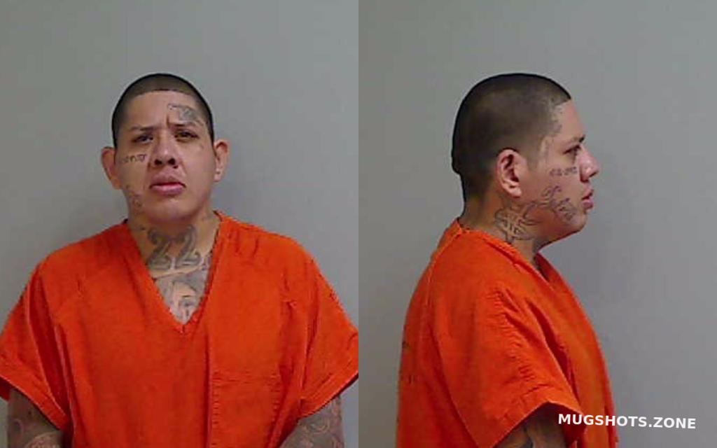 AVILES ISAAC 05/26/2025 - Hidalgo County Mugshots Zone