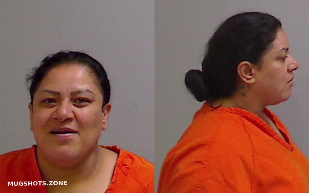HERNANDEZ CORINA ELIZABETH 06/06/2025 - Hidalgo County Mugshots Zone