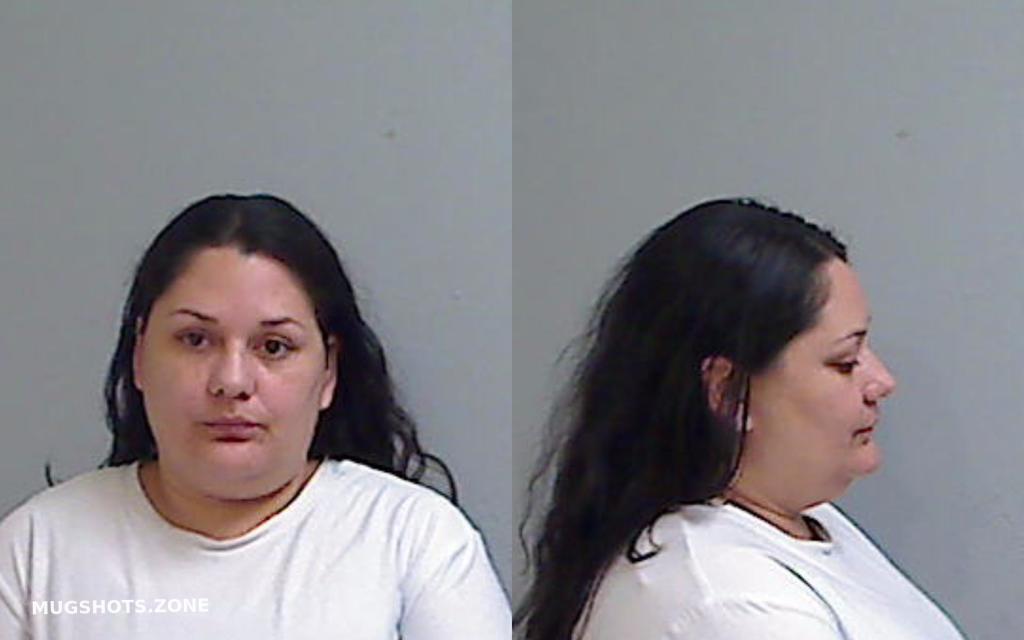 SALINAS ANNA ALICIA 06/17/2025 - Hidalgo County Mugshots Zone