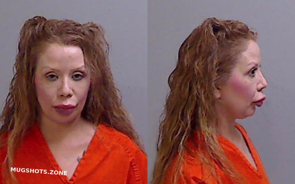HOLT MELISSA ANN 06/25/2025 - Hidalgo County Mugshots Zone