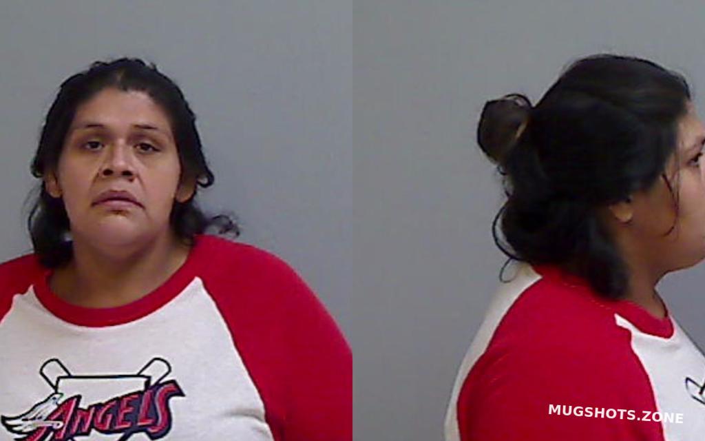 LECHUGA ANDREA AUDREY 07/01/2025 - Hidalgo County Mugshots Zone