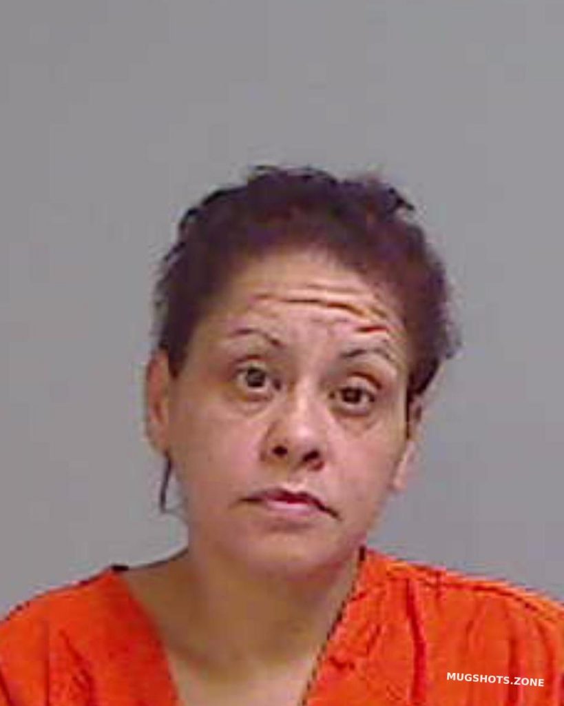 CASTILLO CANDELARIA 08/06/2025 - Hidalgo County Mugshots Zone