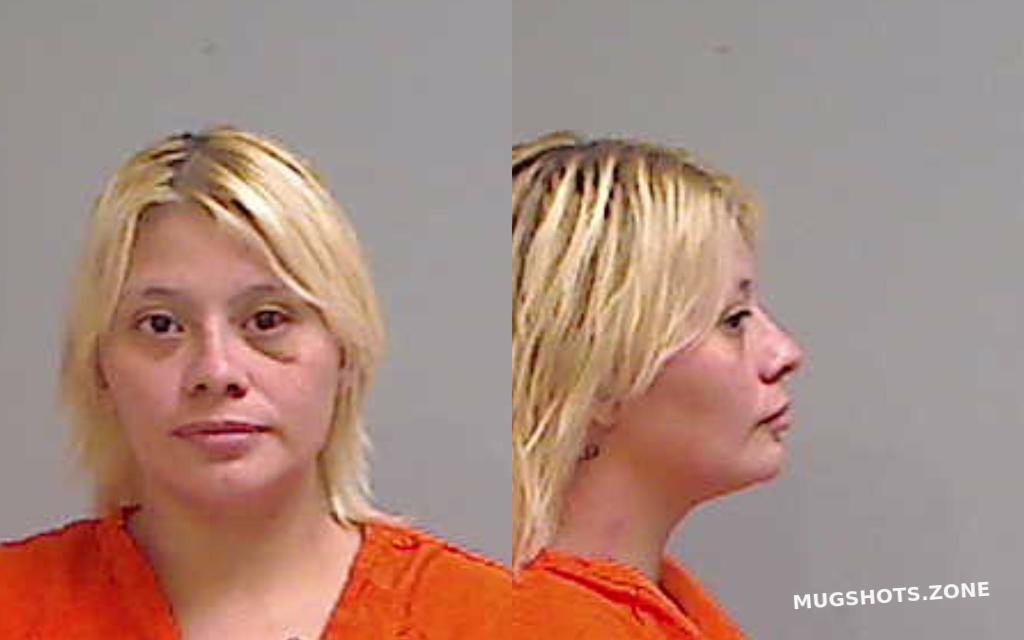 DIAZ AISHA MICHELLE 08/18/2025 - Hidalgo County Mugshots Zone