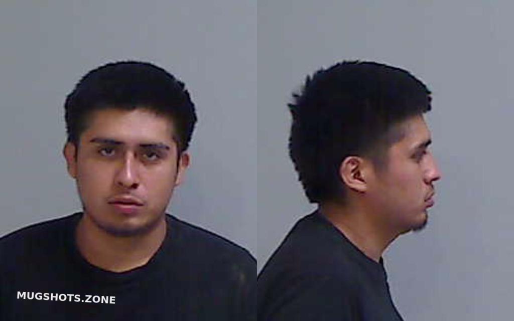 CASTILLO RICARDO JR. 08/22/2025 - Hidalgo County Mugshots Zone