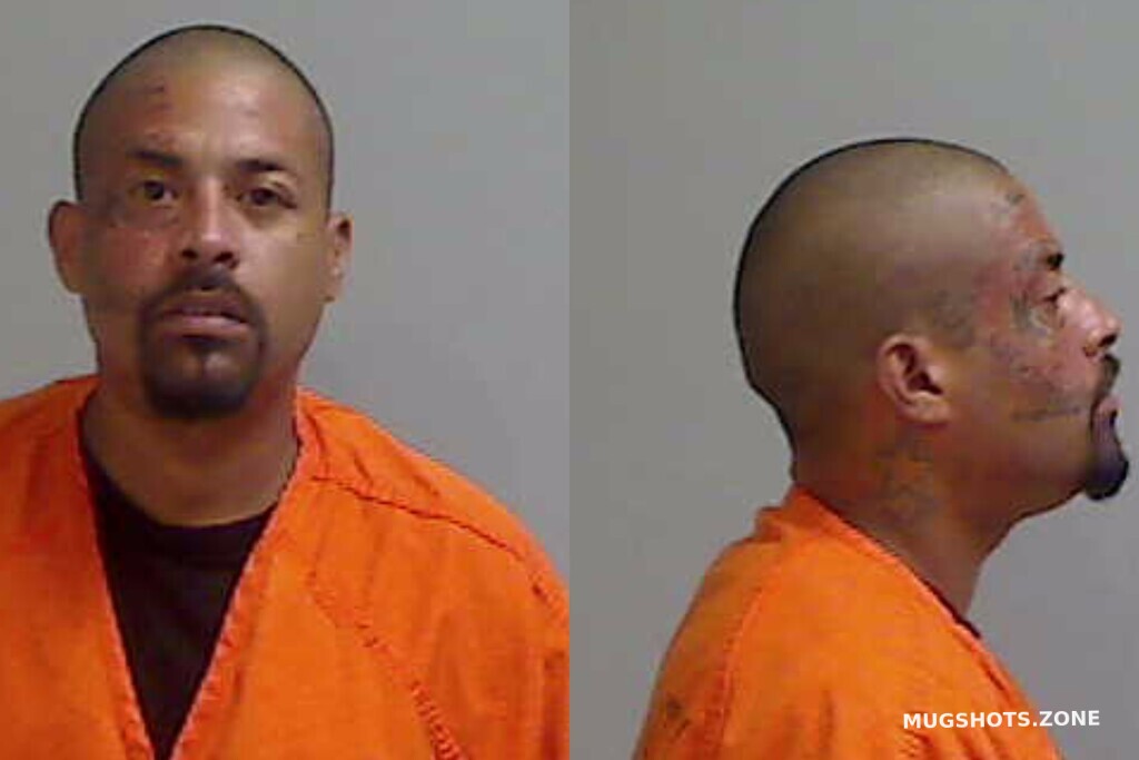 MANCHA DAVID OZIEL 10/19/2025 - Hidalgo County Mugshots Zone