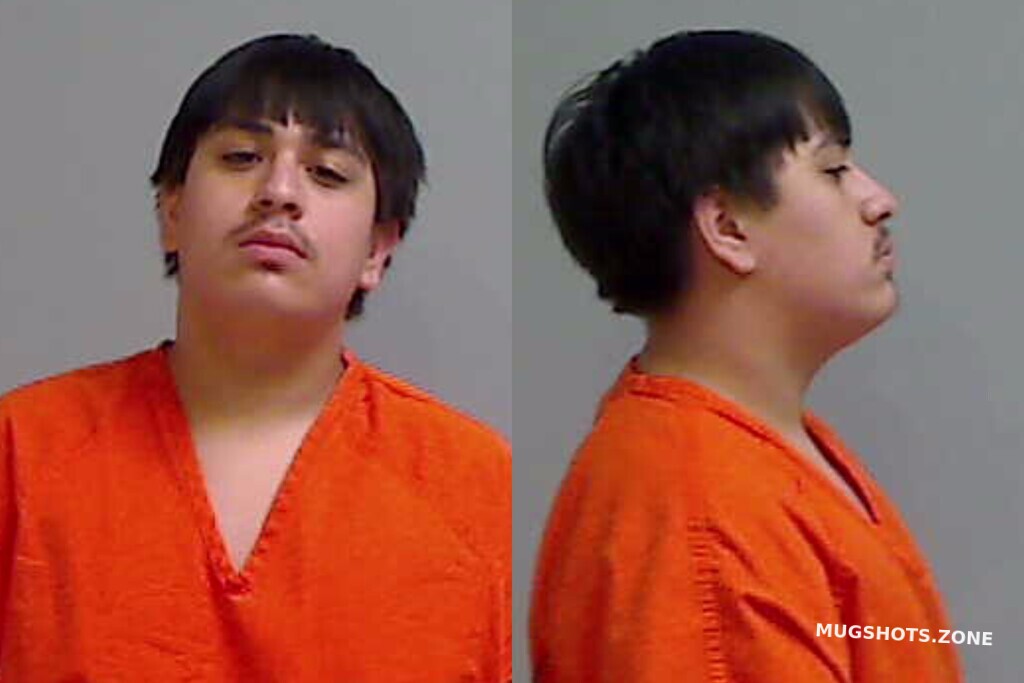 GOMEZ LOUIE ALEXANDER 10/25/2025 - Hidalgo County Mugshots Zone