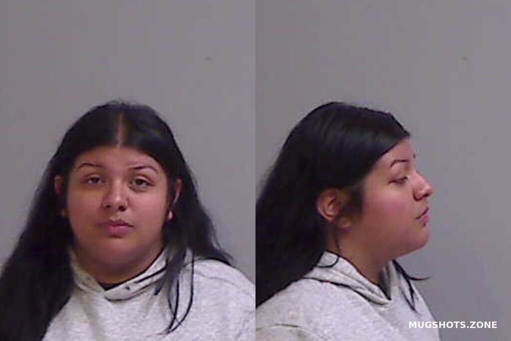 CASTILLO STEPHANIE ILENE 10/25/2025 - Hidalgo County Mugshots Zone