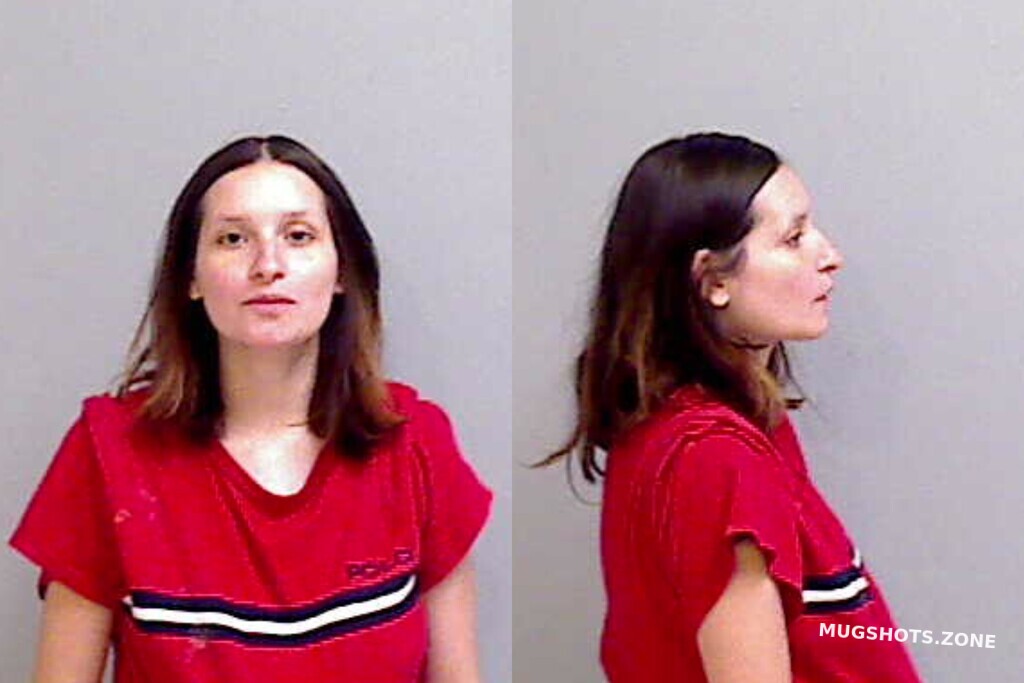 CASTILLO LEANN AUDREY 11/14/2025 - Hidalgo County Mugshots Zone