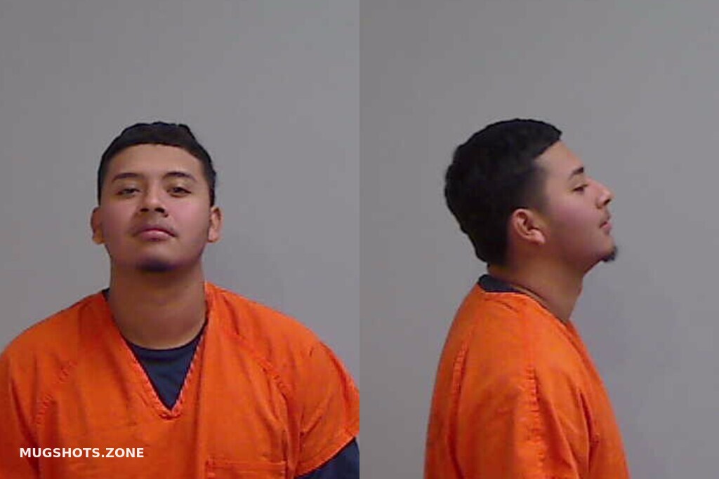 ELIZONDO RANDY IVAN 11/24/2025 - Hidalgo County Mugshots Zone