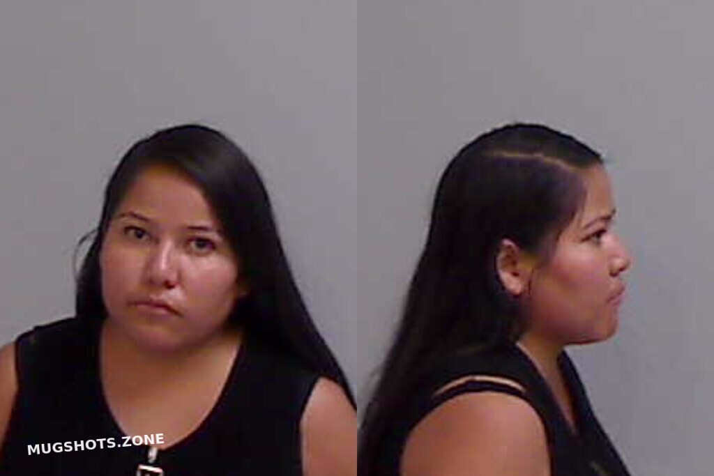 YAZZIE DANA MAE 11/28/2025 - Hidalgo County Mugshots Zone