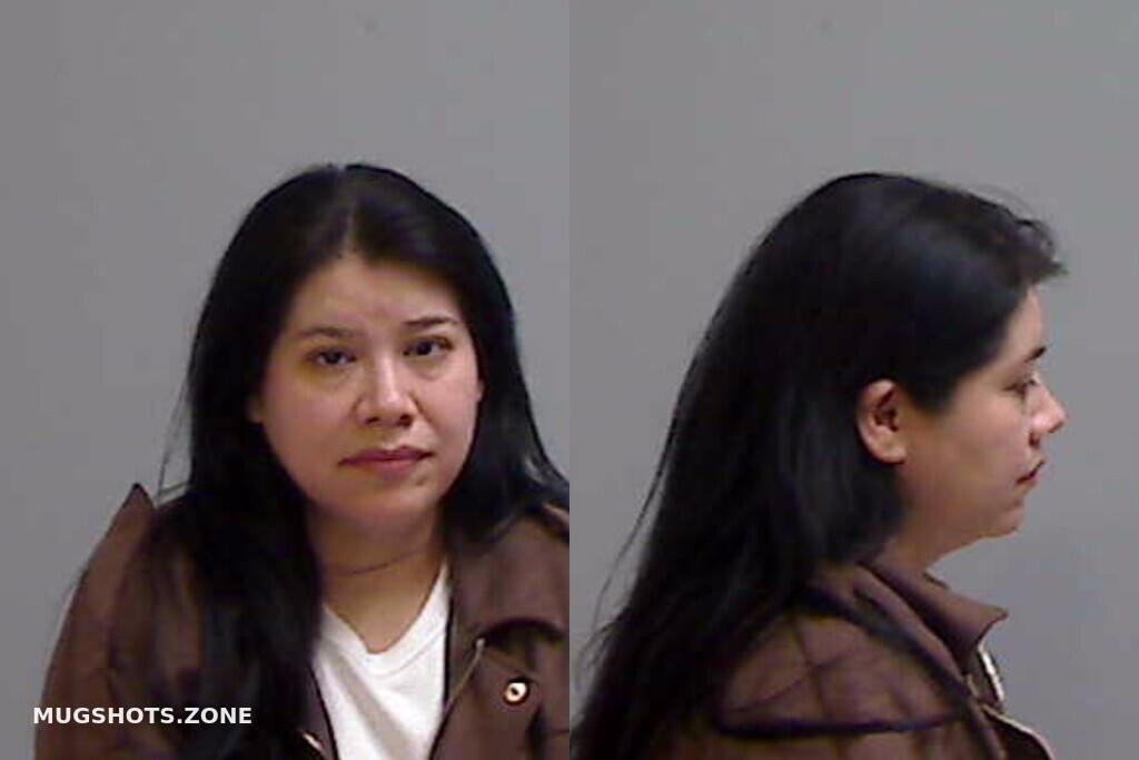 VILLEDA MARIA 12/01/2025 - Hidalgo County Mugshots Zone