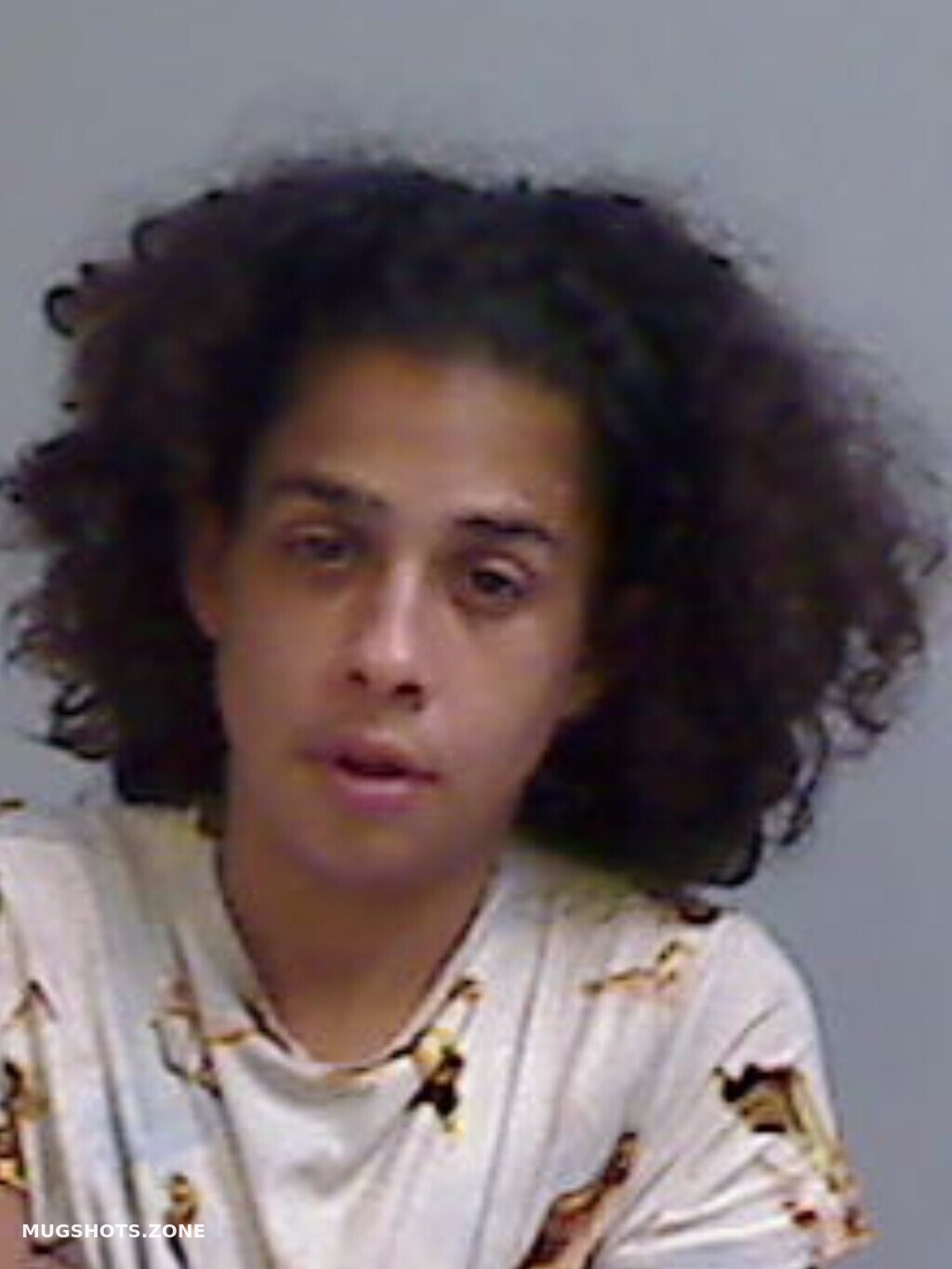 DIAZ DAISY ARLENE 12/12/2025 - Hidalgo County Mugshots Zone