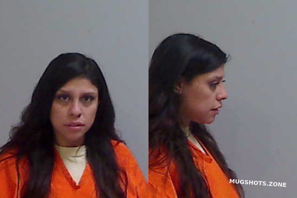 SALDIVAR MARISSA ANN 01/08/2026 - Hidalgo County Mugshots Zone