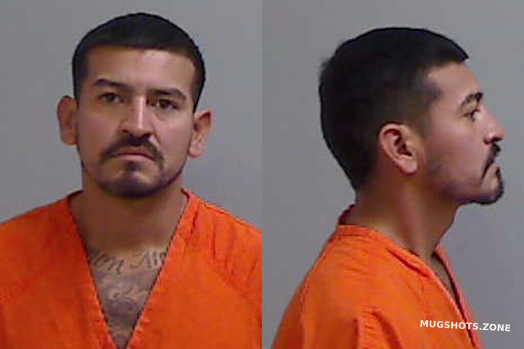 MENDEZ RAMON JR. 01/15/2026 - Hidalgo County Mugshots Zone
