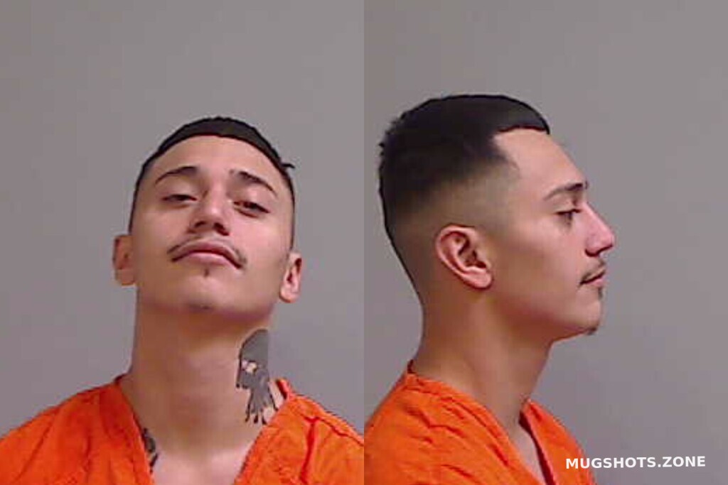 MALTOS ALEJANDRO JR. 01/16/2026 - Hidalgo County Mugshots Zone