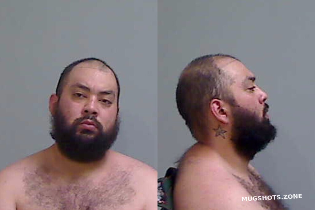 ALANIZ JULIO ABRAHAM 02/09/2026 - Hidalgo County Mugshots Zone