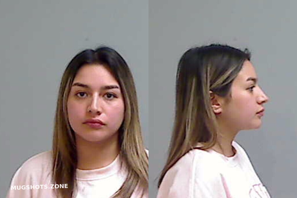 RAMIREZ AMANDA ELYSE 02/15/2026 - Hidalgo County Mugshots Zone