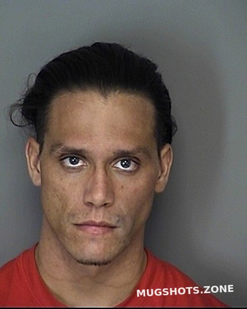 TOTHEROW NICOLAS ANDREW 04/09/2021 - Highlands County Mugshots Zone