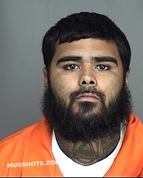 SEGARRA LUIS ANTONIO 01/19/2022 - Highlands County Mugshots Zone