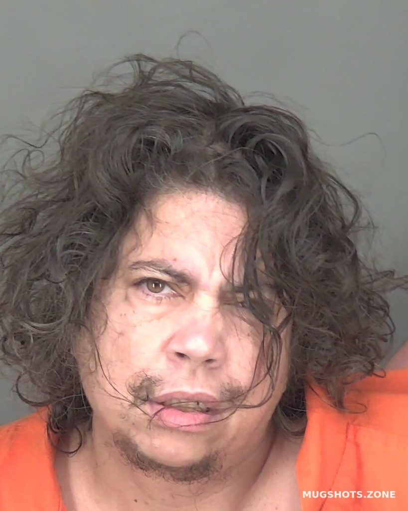 DE PENA LIANY DEFILLO 08/24/2023 - Highlands County Mugshots Zone