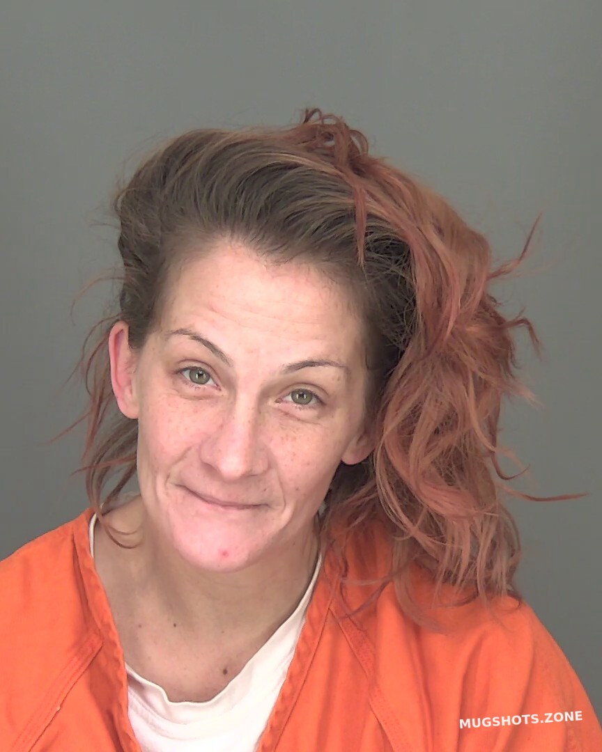 Vanzant Michelle Juliann 12 05 2023 Highlands County Mugshots Zone